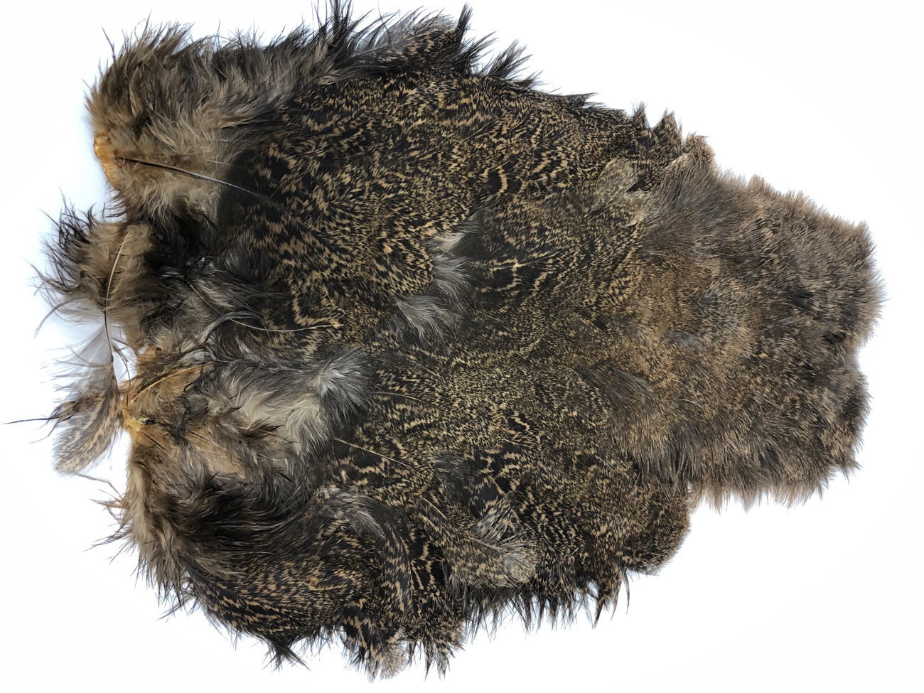 Whiting Farms Coq De Leon Soft Hackle with Chickabou