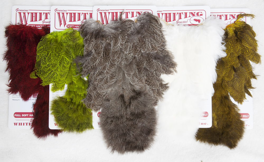 Whiting Farms Coq De Leon Soft Hackle with Chickabou