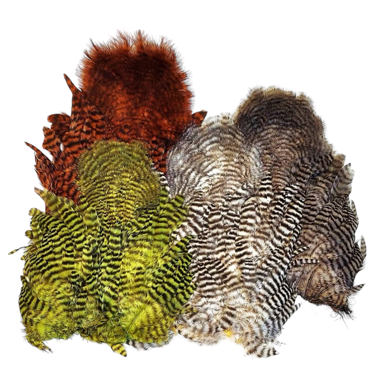 Whiting Rooster Soft Hackle with Chickabou - Whiting Farms Rooster Feathers