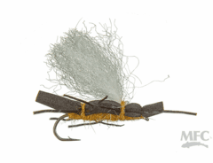 Terrestrial and Attractor Flies