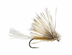 Best Caddis Fly Patterns | Caddis Emergers | Caddis nymphs | Trout Flies