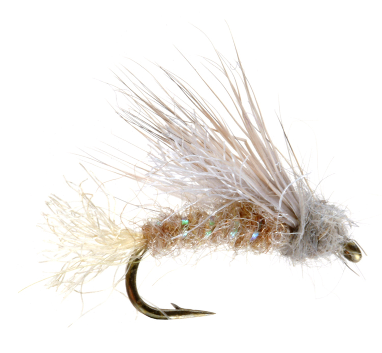 X2 Caddis Blue Ribbon - Flies