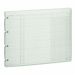 WLJG3010 Accounting Sheets, 10 Columns, 11x14, 100 Loos