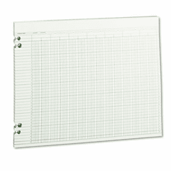 WLJG3010 Accounting Sheets, 10 Columns, 11x14, 100 Loos