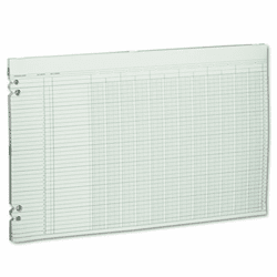 WLJG3010 Accounting Sheets, 10 Columns, 11x14, 100 Loos