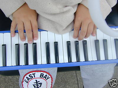 37 Keys Melodica full 3 Octave Range Piano key F to F