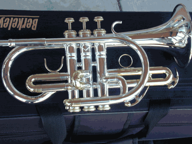 Berkeley Bb &C British Large Cornet 2set tuning Pipe