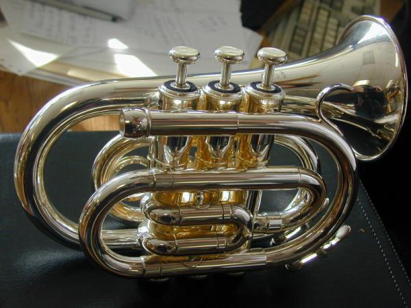 Berkeley Bb, Brass or Silver Pocket Trumpet