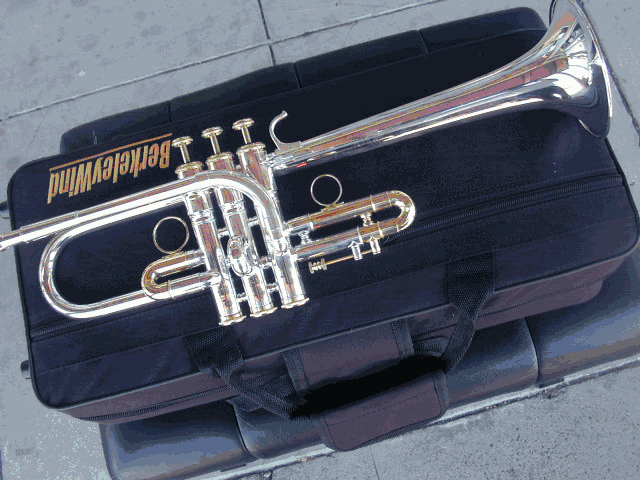 Berkeley Silver Tunable Bell Eb,D Trumpet (s5510 k1523)