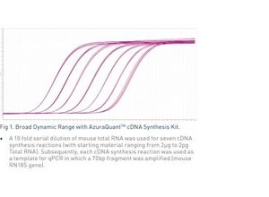 cDNA Synthesis Kits