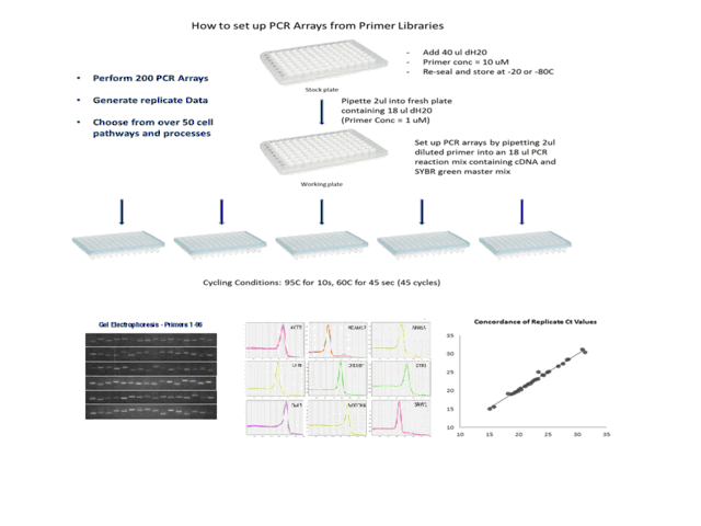 Qpcr Array And Pcr Array For Cell Signaling Pathways Full Article: A