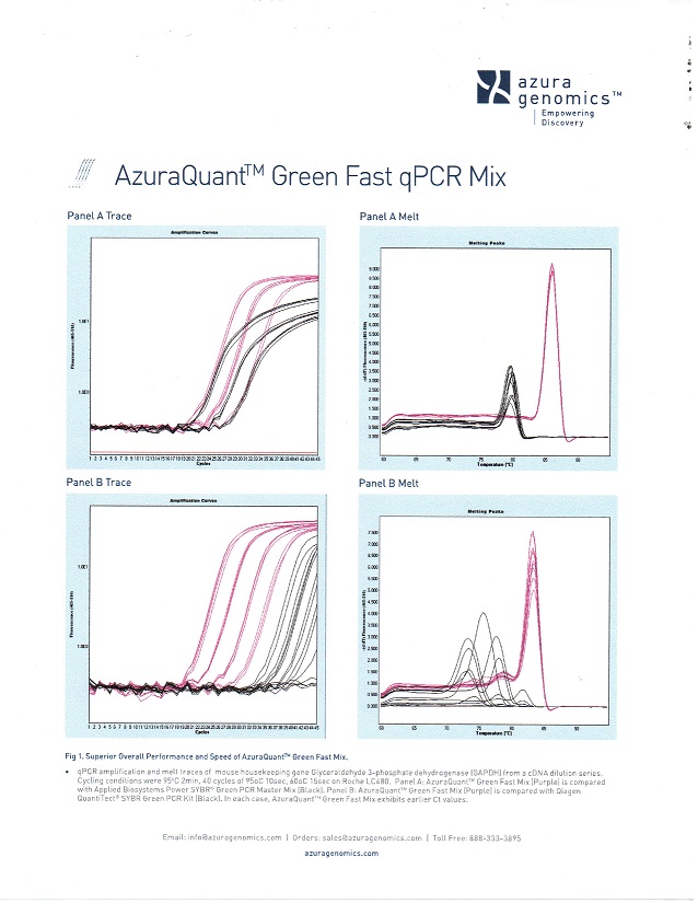qPCR Master Mix