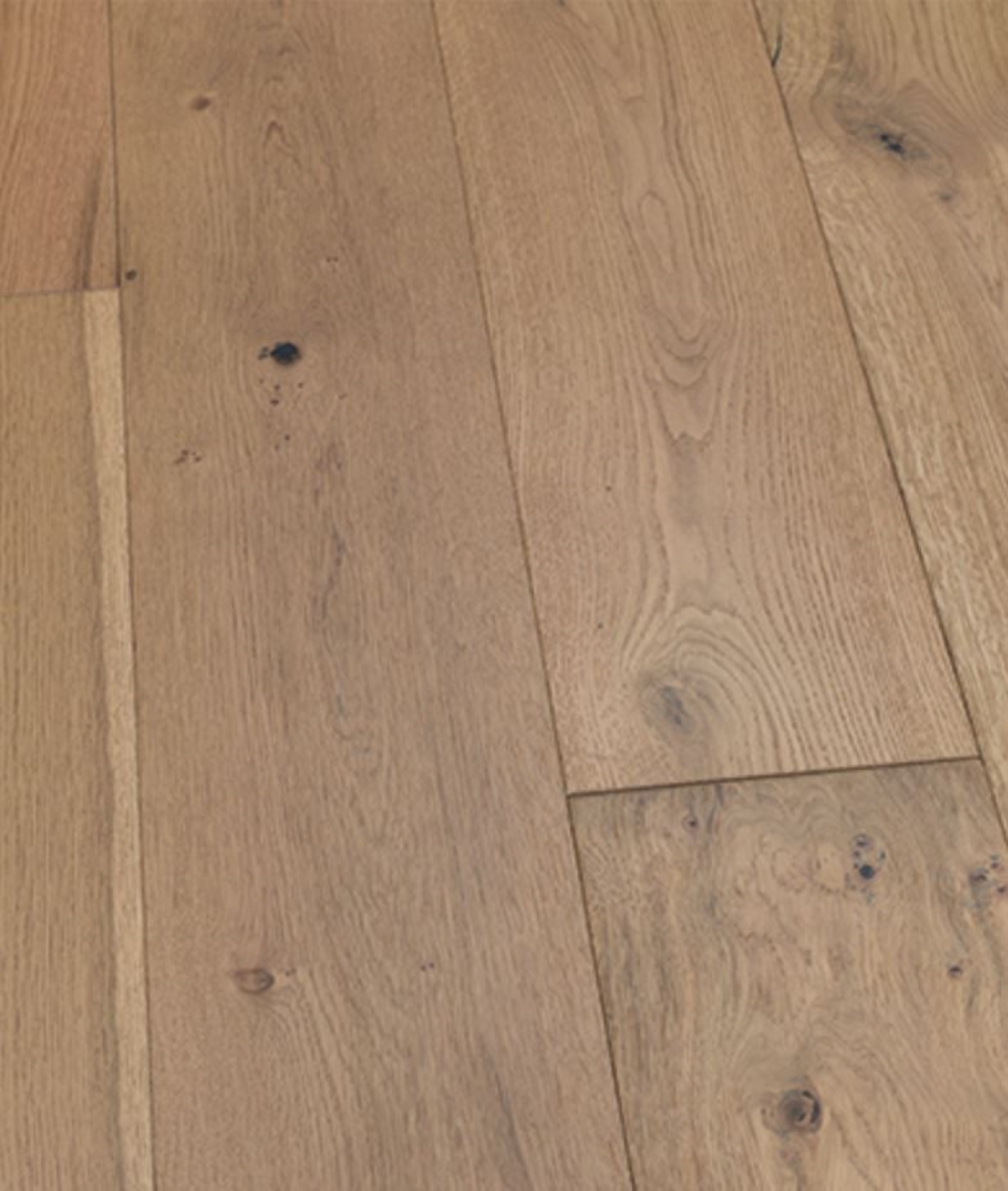 Limited Offers for Bella Cera Monza Bresso 8 x 75 Hardwood Floors