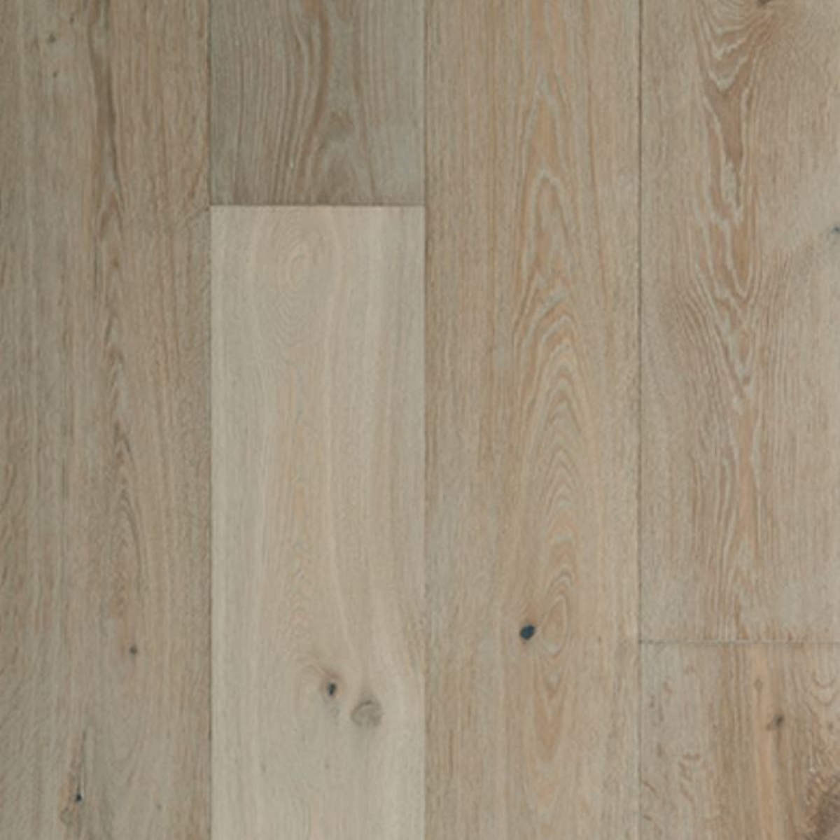 Most Trusted Bella Cera Borghese Sofia 8 Wide Hardwood Flooring