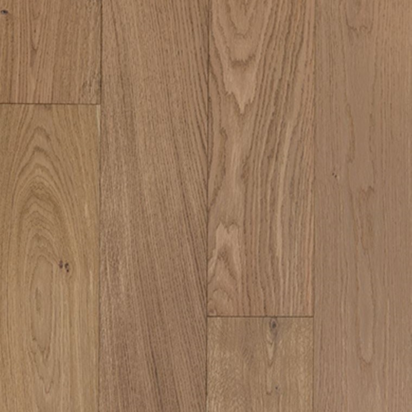 Bella Cera Vivaldi Bear Paw