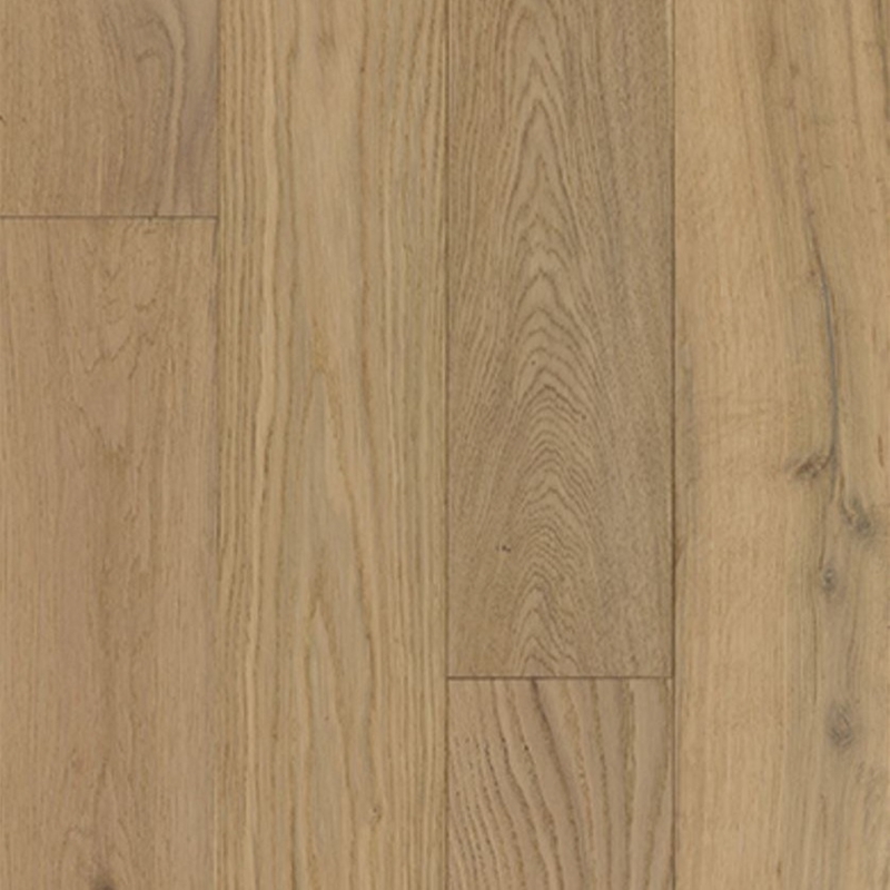 Bella Cera Vivaldi Concerto