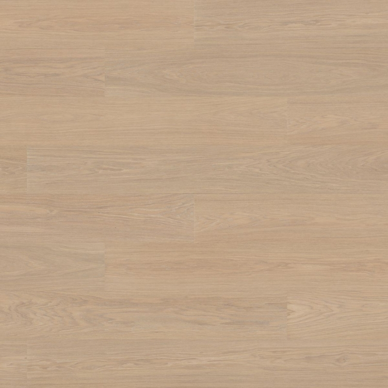 Purchase Bjelin Powder White Oak XL Select Hardwood Flooring