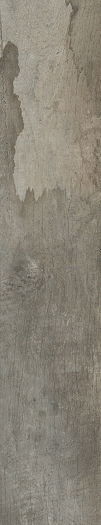 Caesar USA Revive Sesame