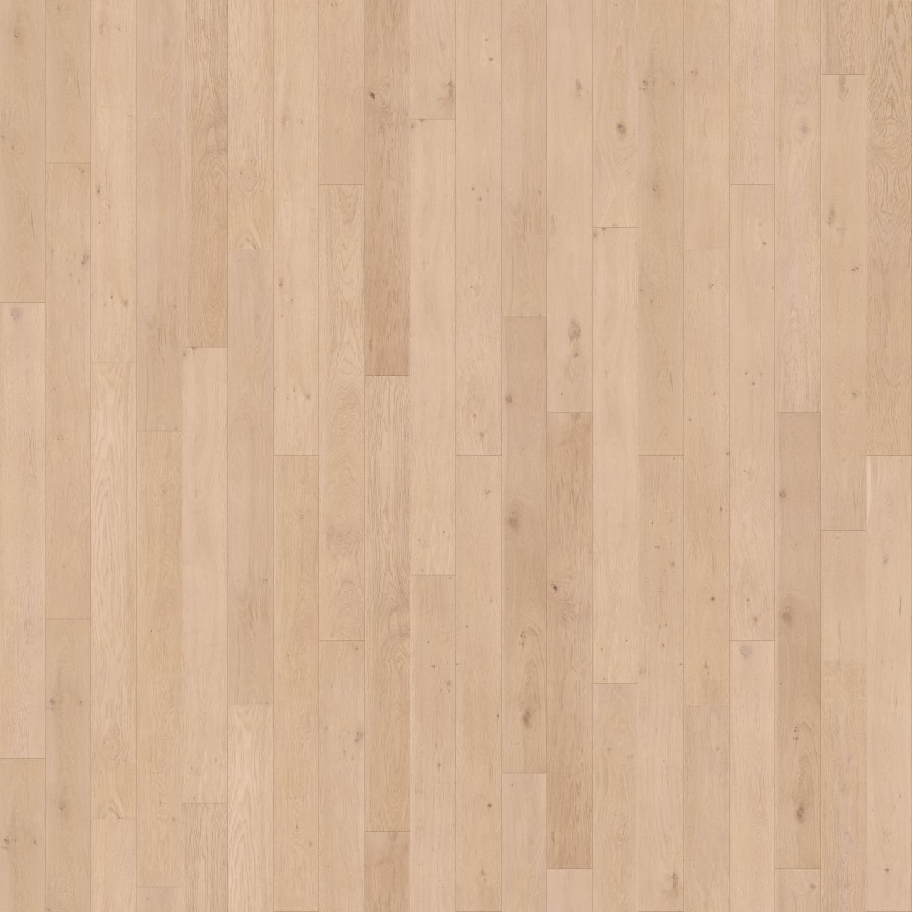 Cali Floors Mavericks Half Moon Oak