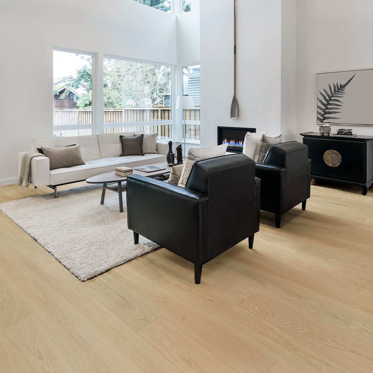 Compass Galaxy Azure Plus