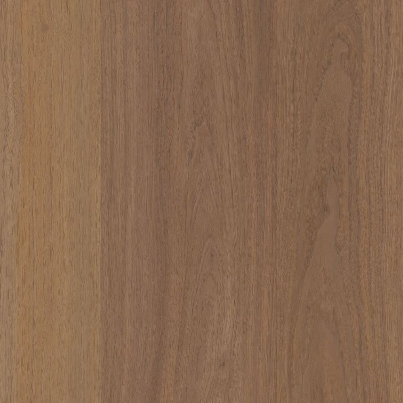 COREtec HD Integrated Plus XL Irene Walnut