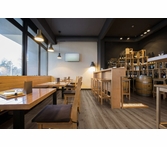 COREtec Pro Plus Copano Oak