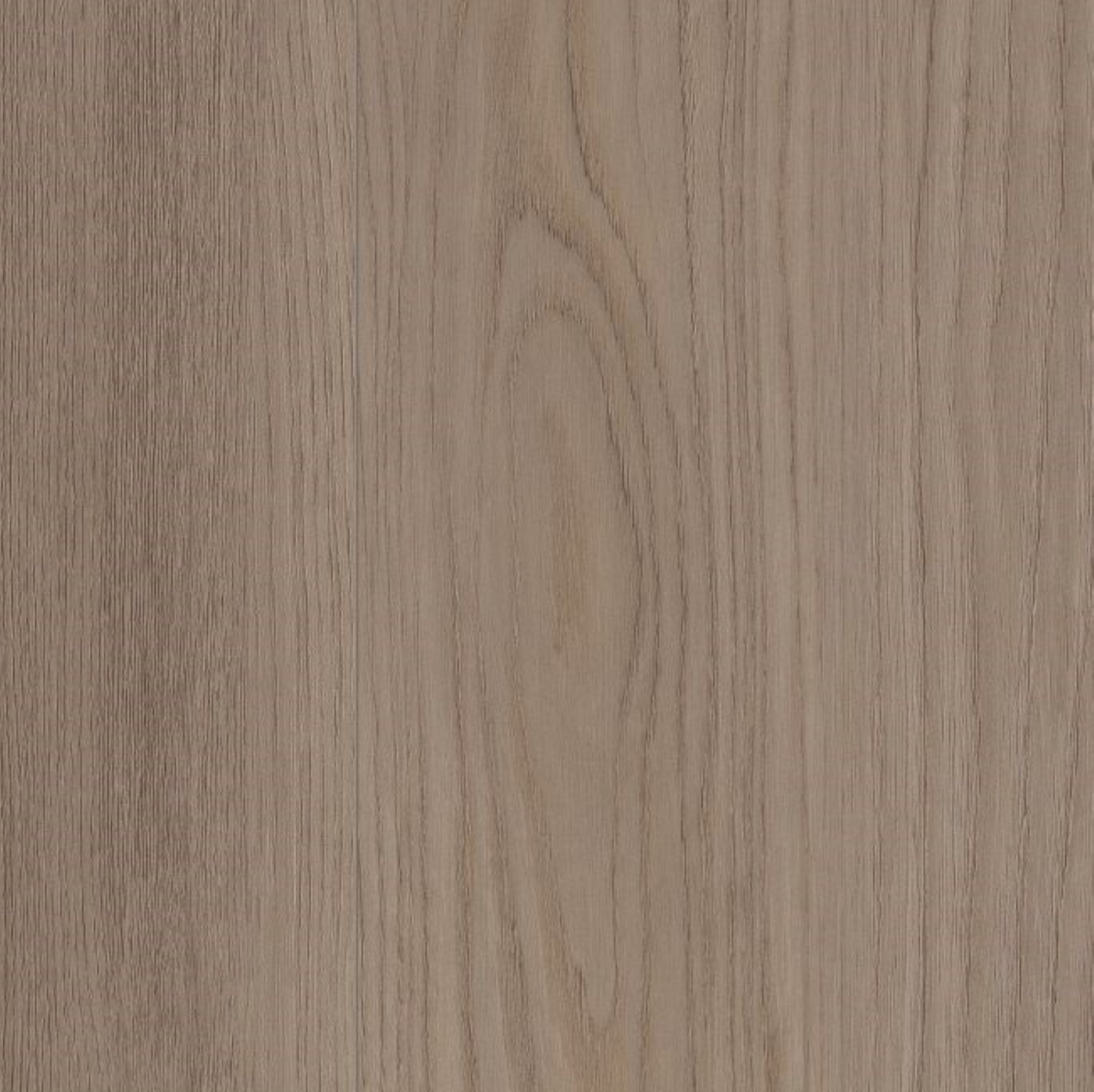 COREtec Pro Plus XL Enhanced London Elm