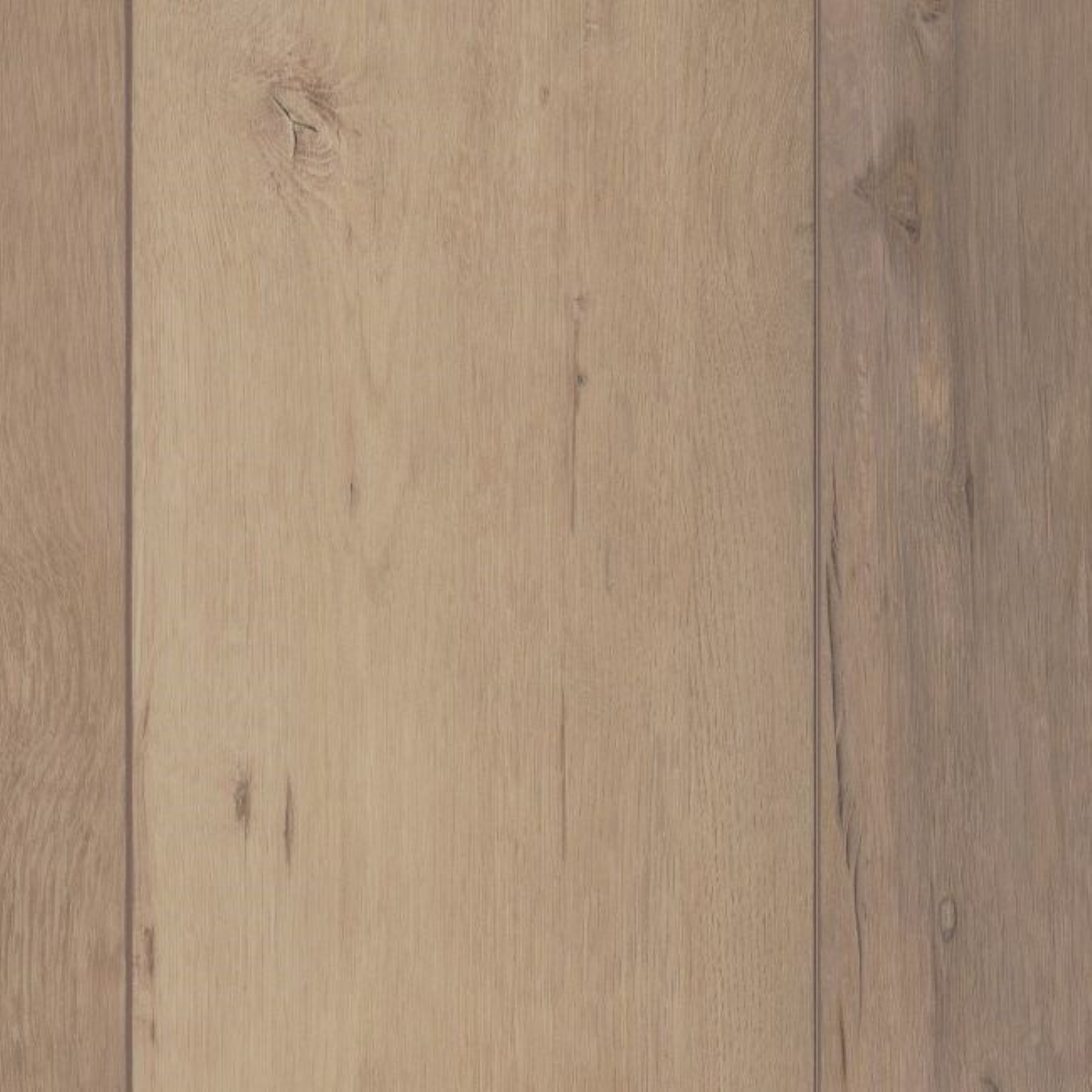 COREtec Pro Plus XL Enhanced San Marino Elm