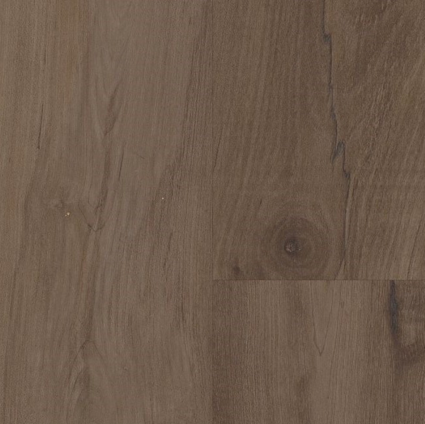 COREtec Pro Premium Stonehaven Maple