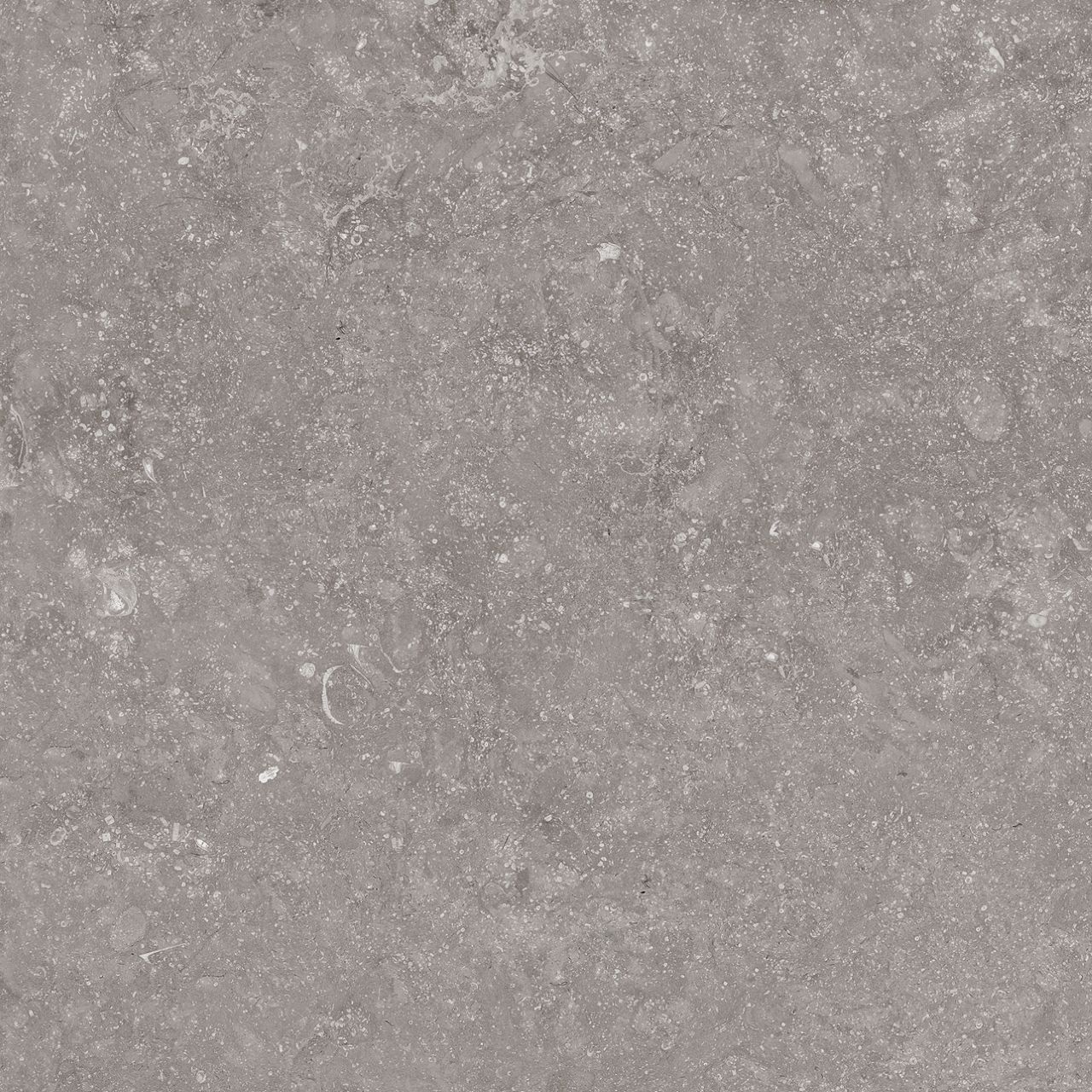 Crossville Beljn Castle Stone 12 inch X 24 inch