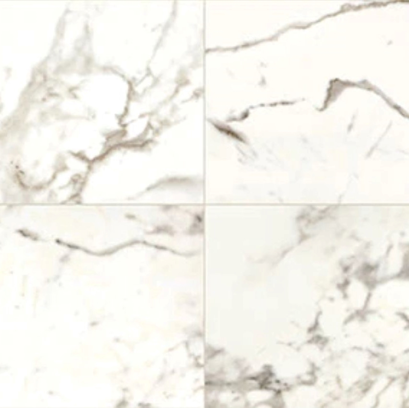 Daltile Marble Attache Calacatta 24 x 48