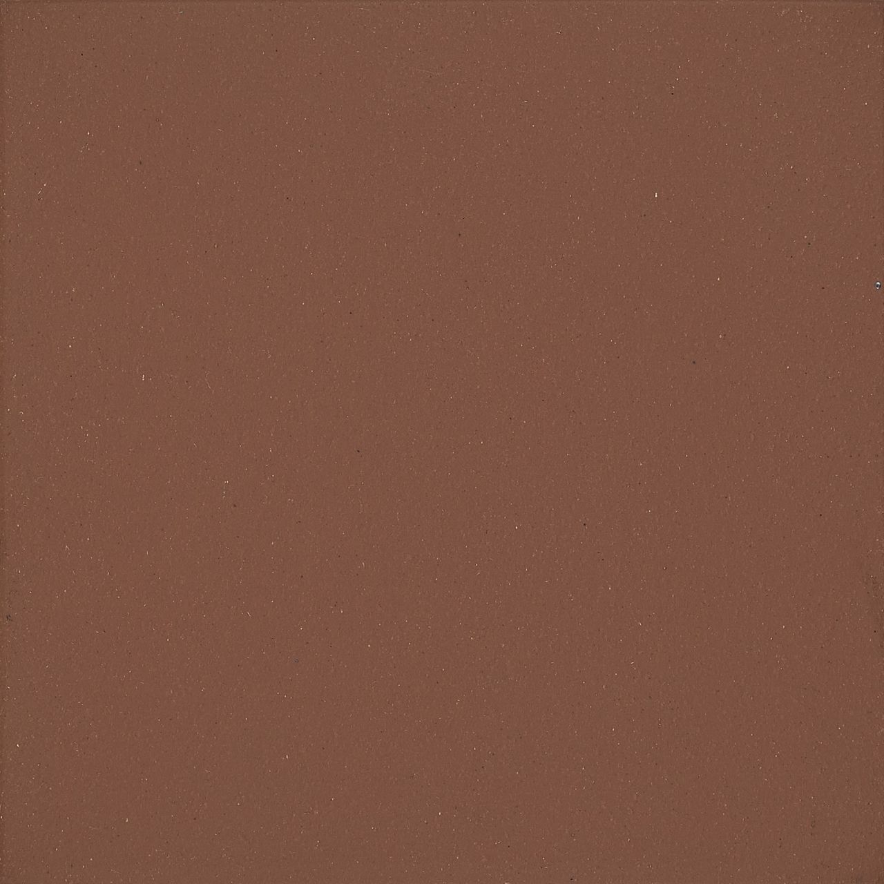Daltile Quarry Textures Diablo Red 8" x 8" Abrasive