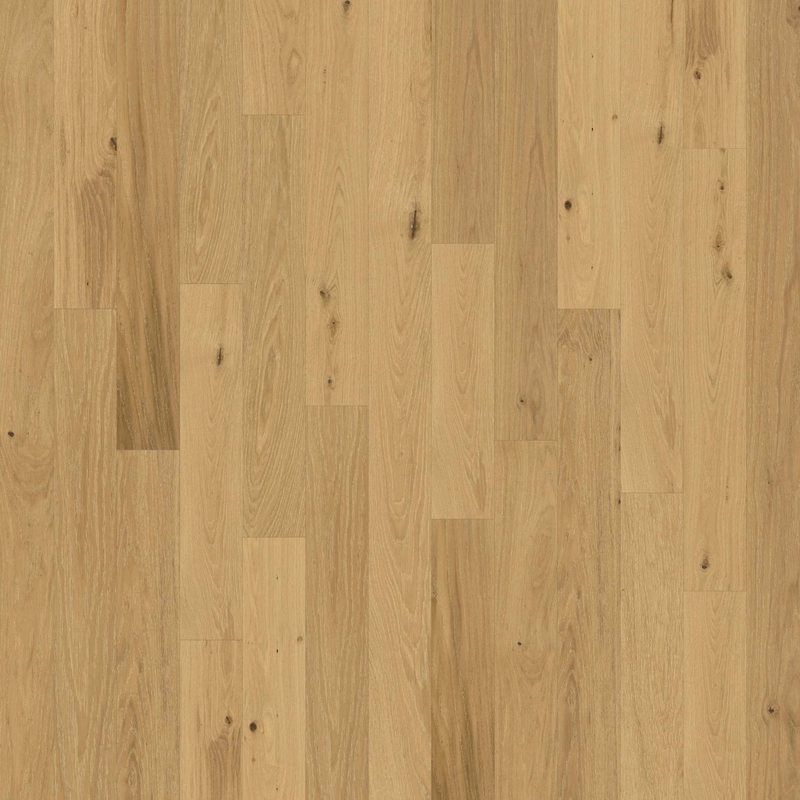 Earthwerks Backlands Navarro