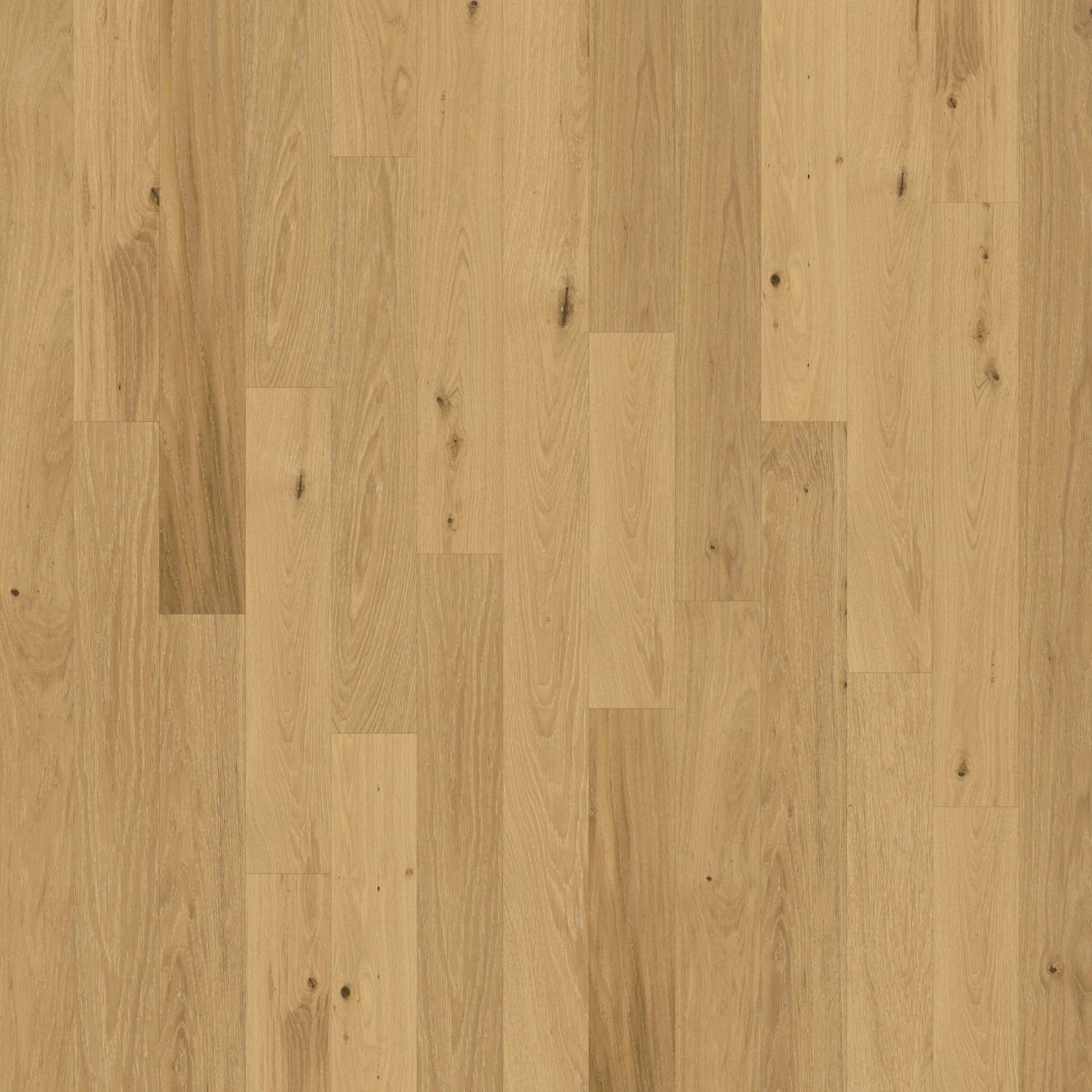 Earthwerks Backlands Navasota