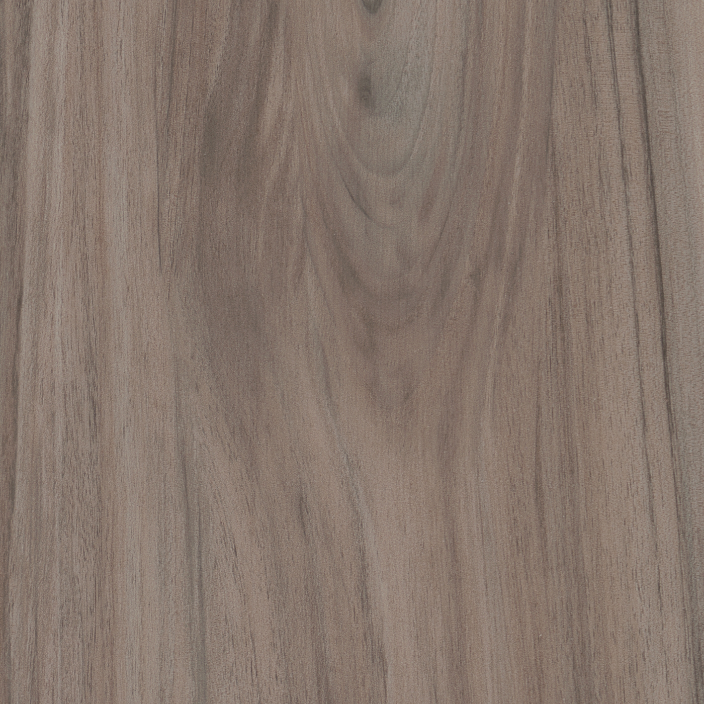 EF Contract Woodlands II Acacia