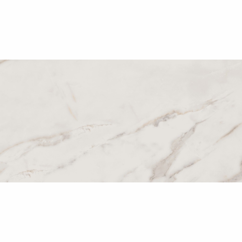 Estima Ideal White Polished 24 X 48