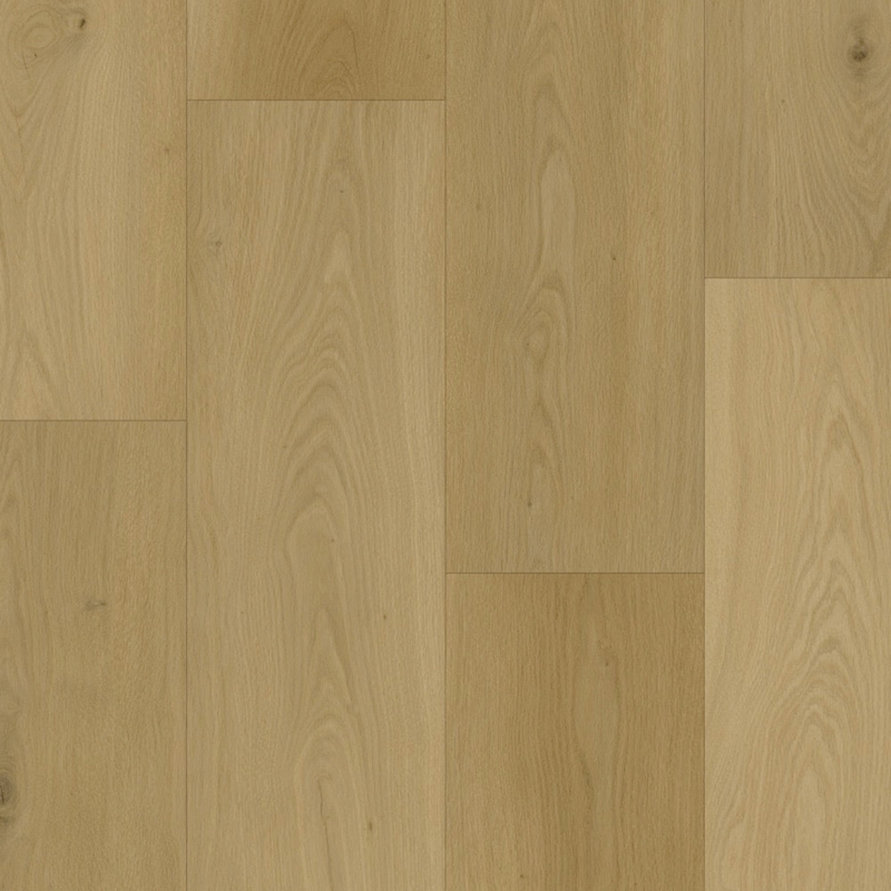 Great Savings Ingraind Dulce Beige Vinyl Flooring by Eternity