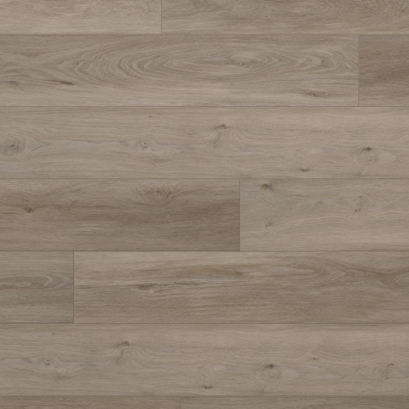 Evoke Astoria Tiercel