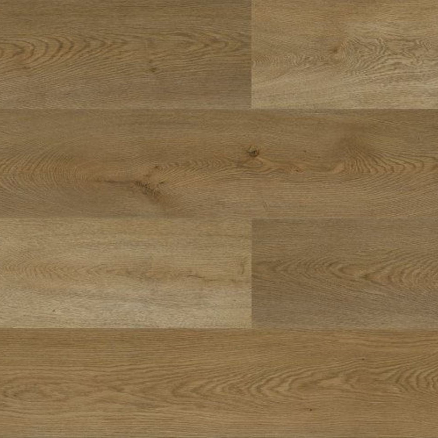 Gaia Eterra Black Eyre