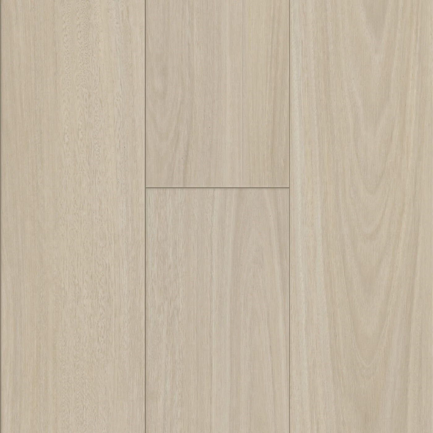 Happy Feet Rescue Rainier