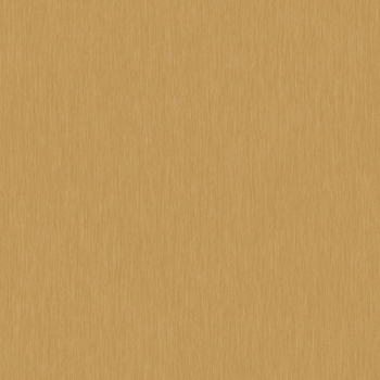 Interface Brushed Lines