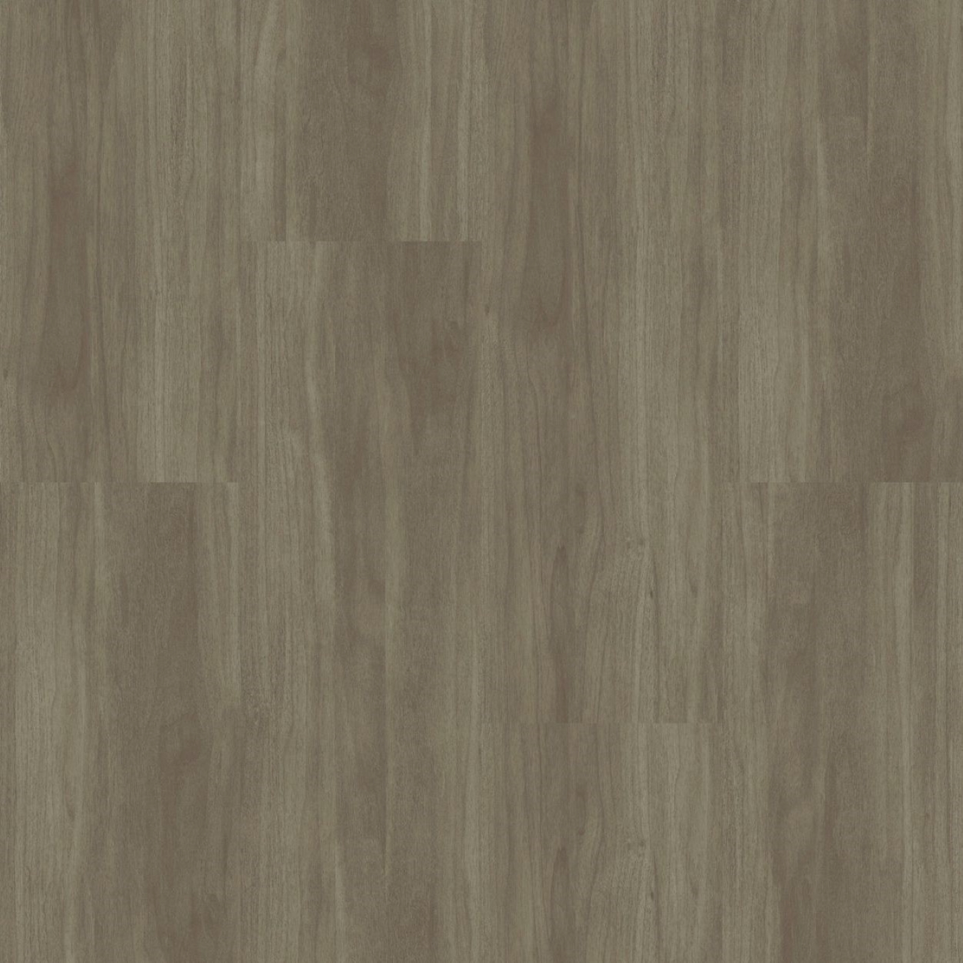 Interface Studio Set Mushroom