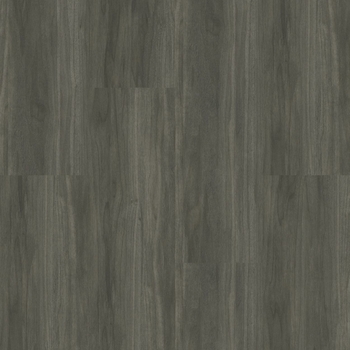 Interface Studio Set