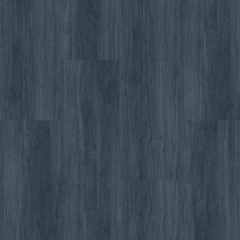 Interface Studio Set