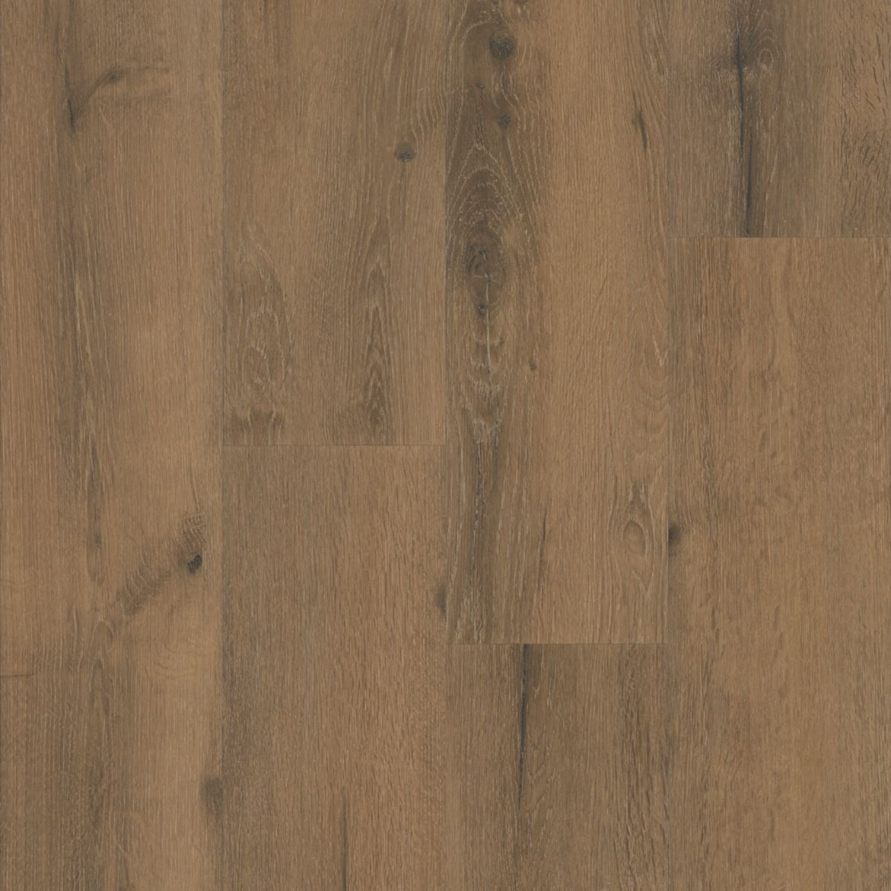 Order Your Jackson Online Jackson Anthem 7 1/2 inch Vinyl Conquer