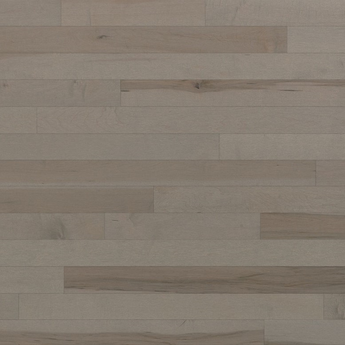 Lauzon Essentials Caliza Maple Solid 3 1/4