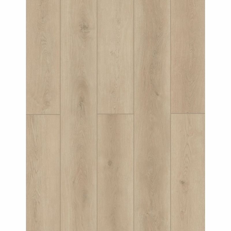 Lions Floor Indoor Delight Pearl Abyss