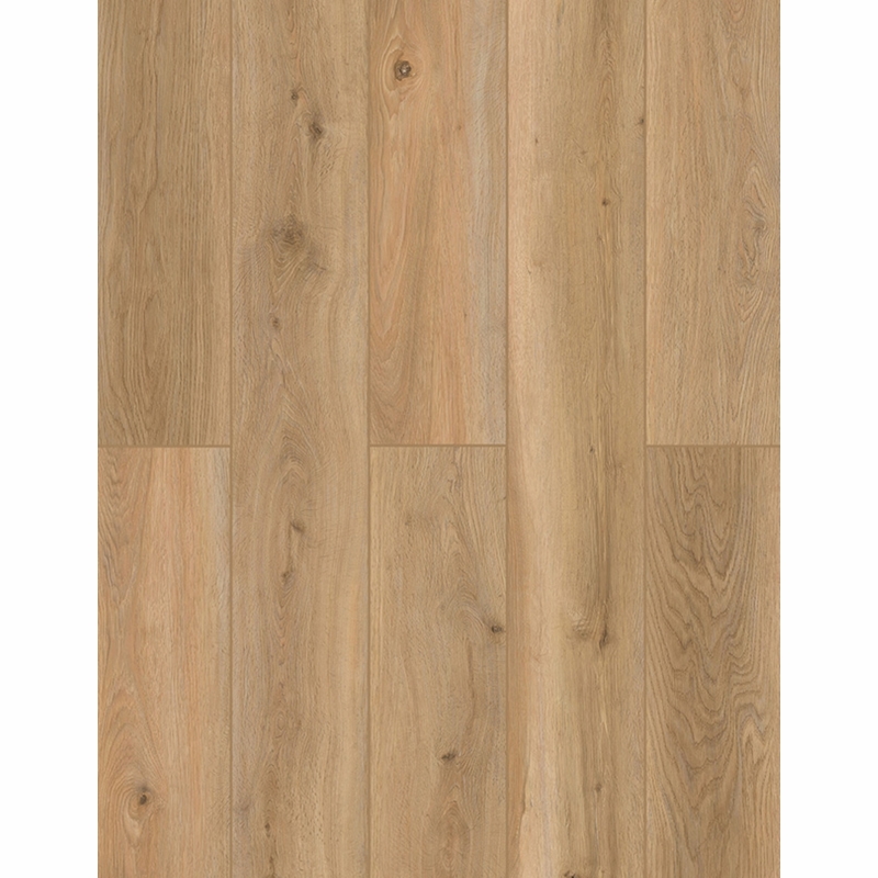 Lions Floor Indoor Delight Shoreline Decor