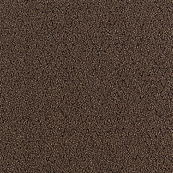 Mohawk Aladdin Walk The Walk