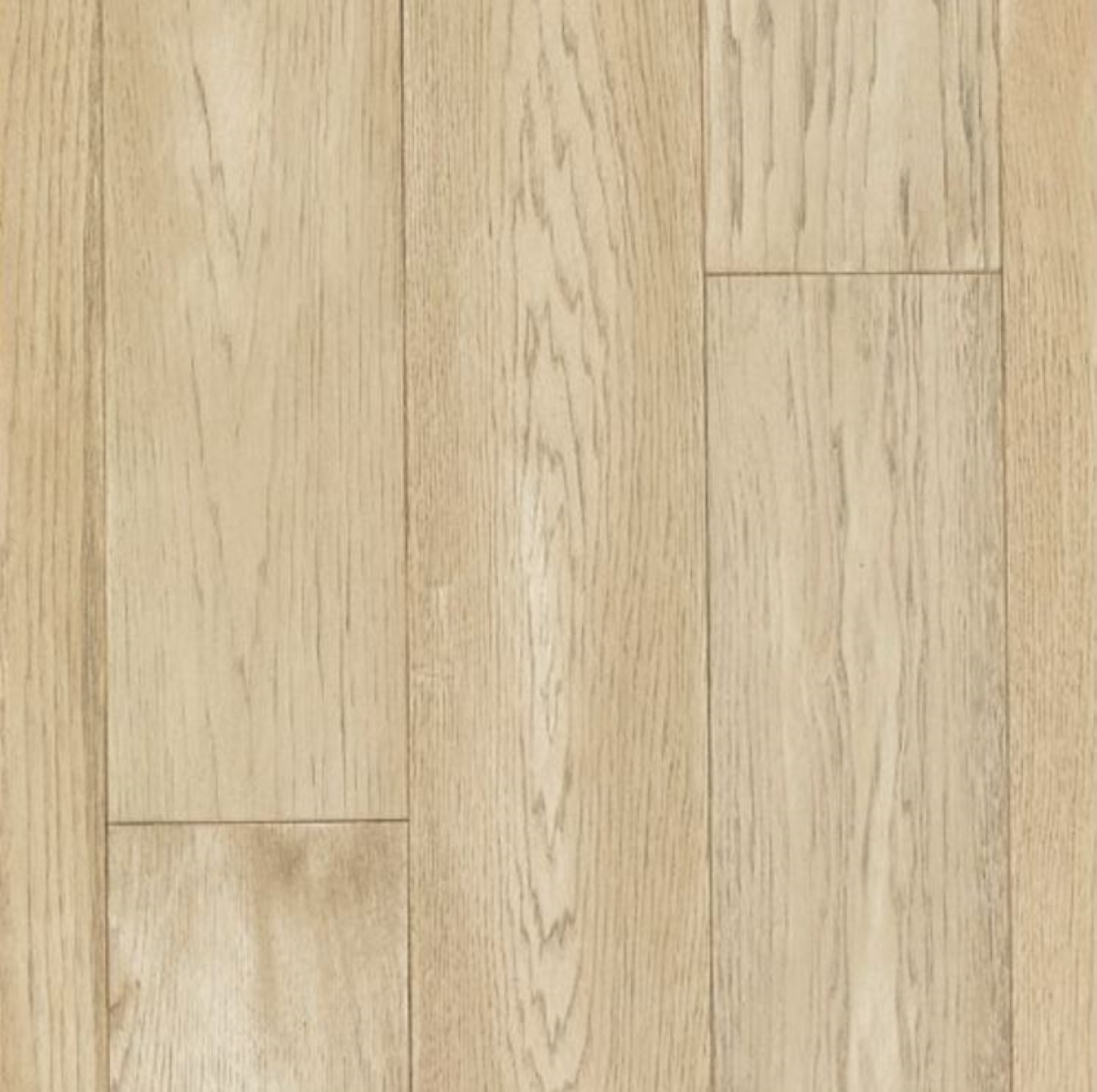 Mohawk Beachside Villa Sea Scrolls